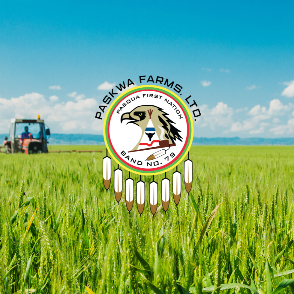 PFN Group of Companies and Pasqua First Nation launch Paskwa Farms ...